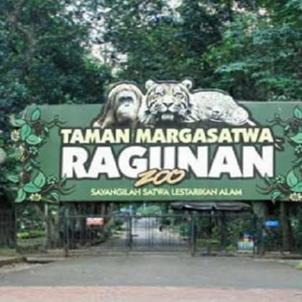 Taman Margasatwa Ragunan Jadi Destinasi Wisata Alternatif Selama Libur ...